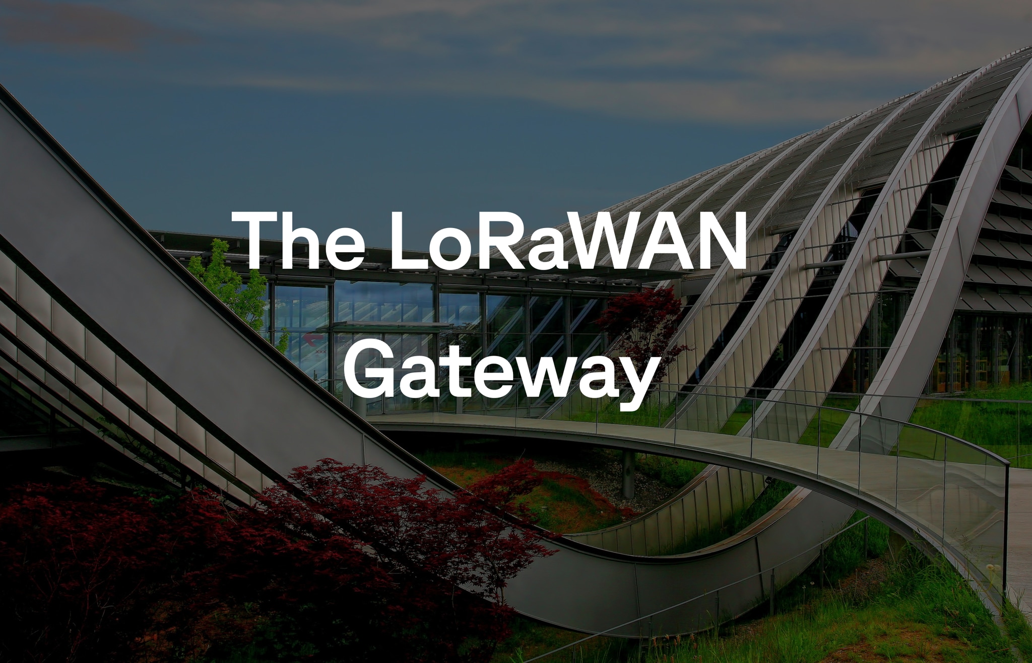 LoRaWAN: The Ultimate Guide to IoT Connectivity - Wattsense
